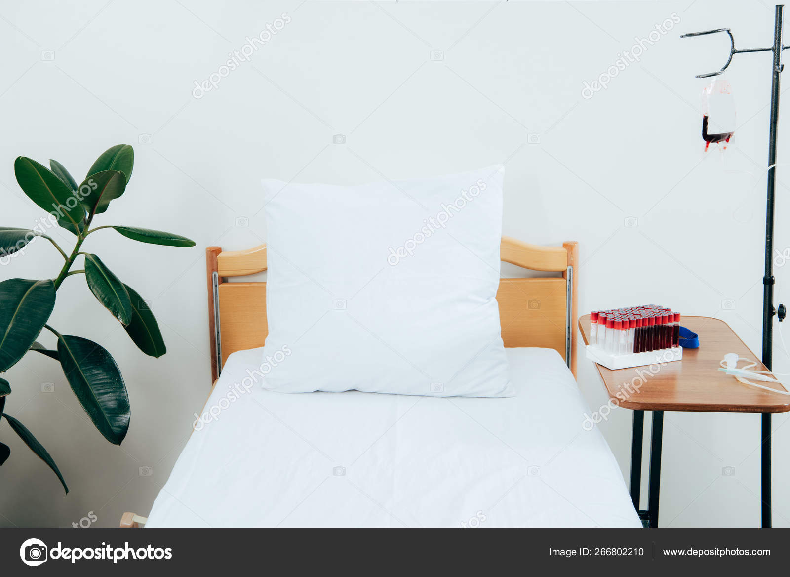 Bed Pillow Green Plant Packed Cells Blood Test Tubes Hospital — Stock ...