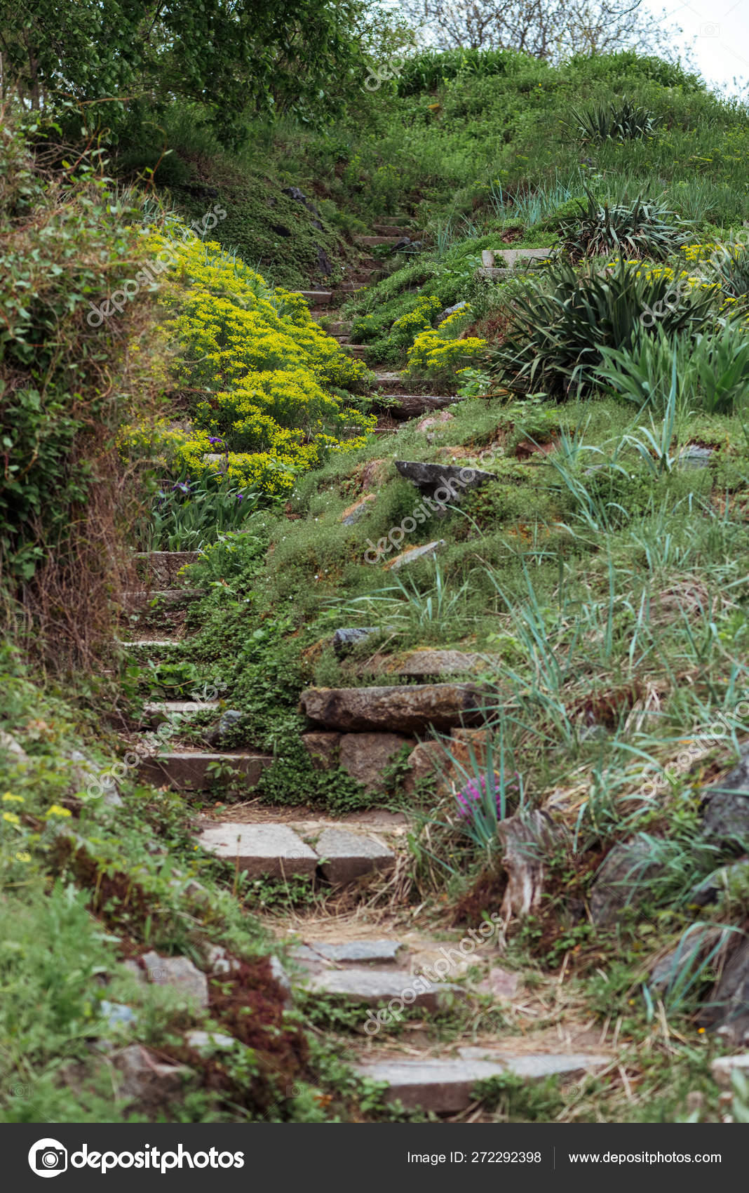 Stone Stairs Green Blooming Park Bushes Flowers Grass — Stock Photo ...