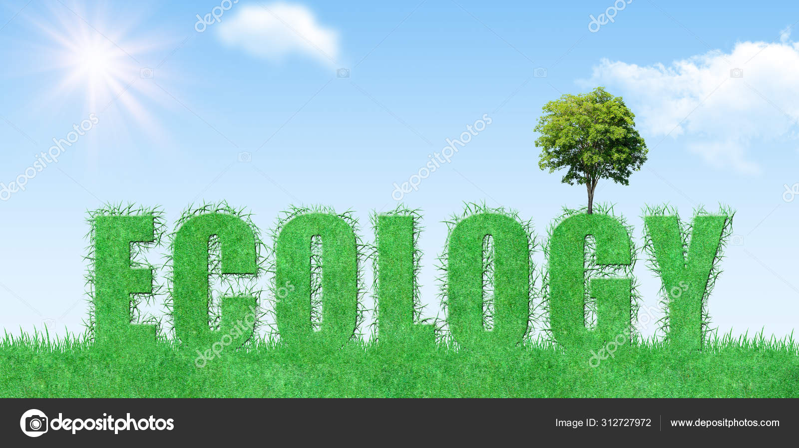 Ecology Environmental Concept Green Tree Growth Ecology Grassy Text ... Ecology Environmental Concept Green Tree Growth Ecology Grassy Text ...