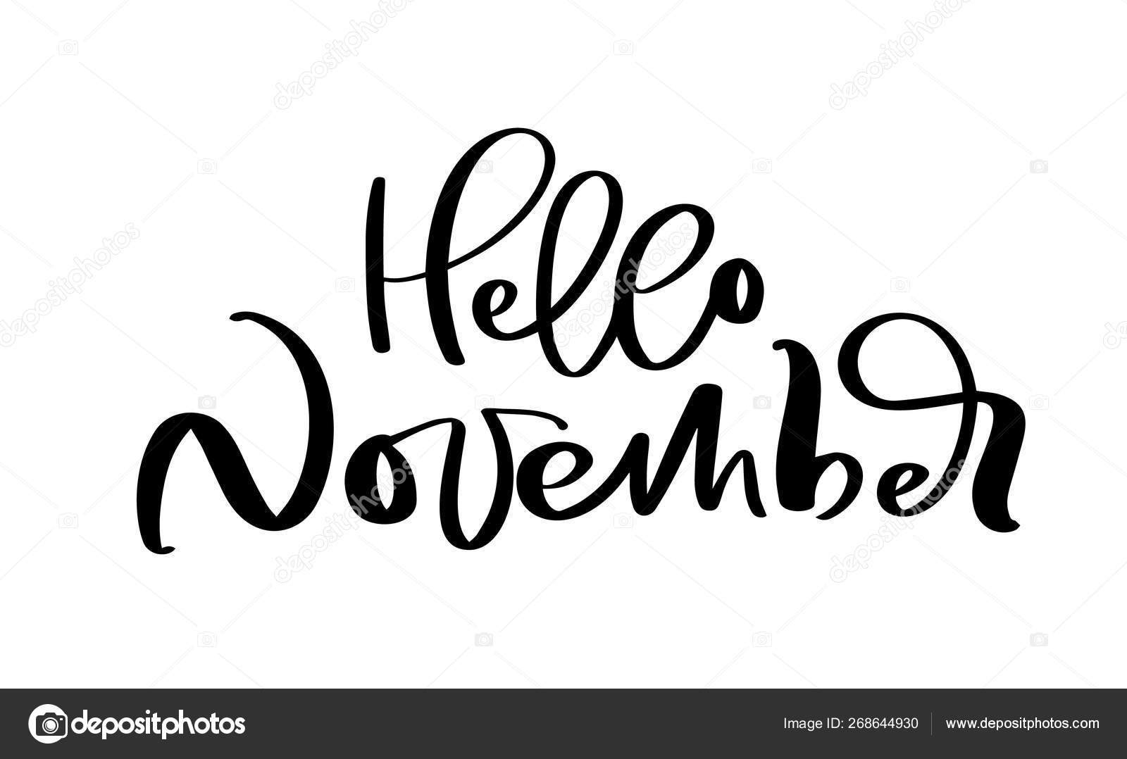 Hello November Vector ink lettering. Handwriting black on white word ...