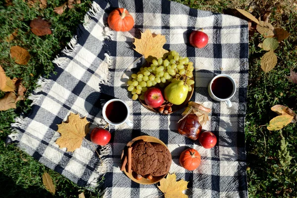 Autumn picnic in the park with fruit, cookies, jam and tea Picnic ...