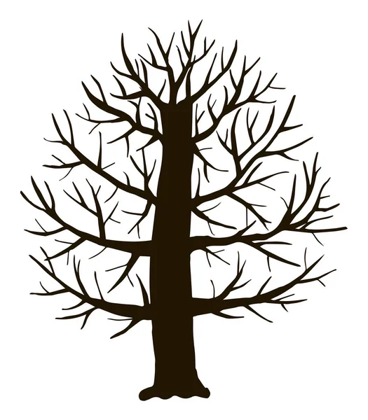 Thick Tree Branches Vector