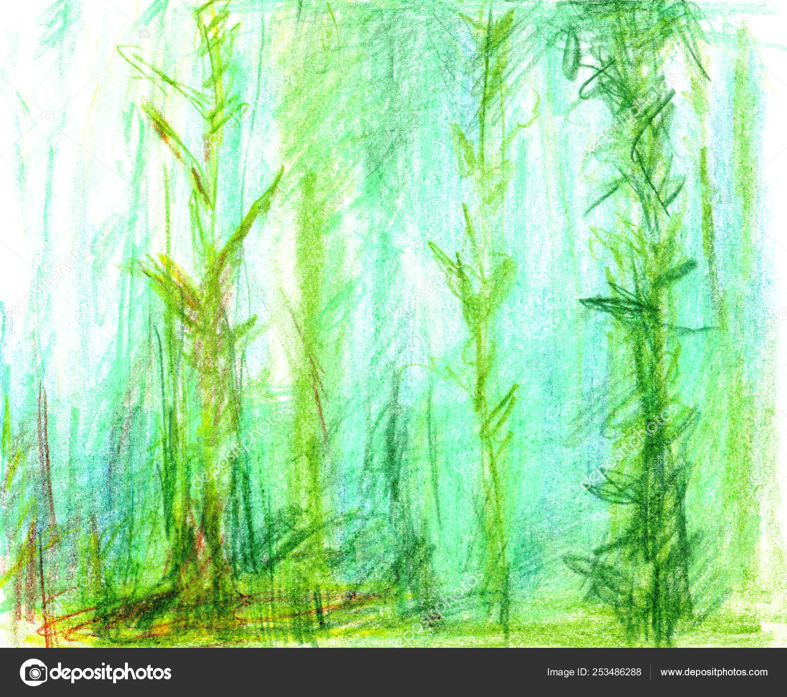 Underwater algae plants at the bottom of the lake grow up in the blue ...