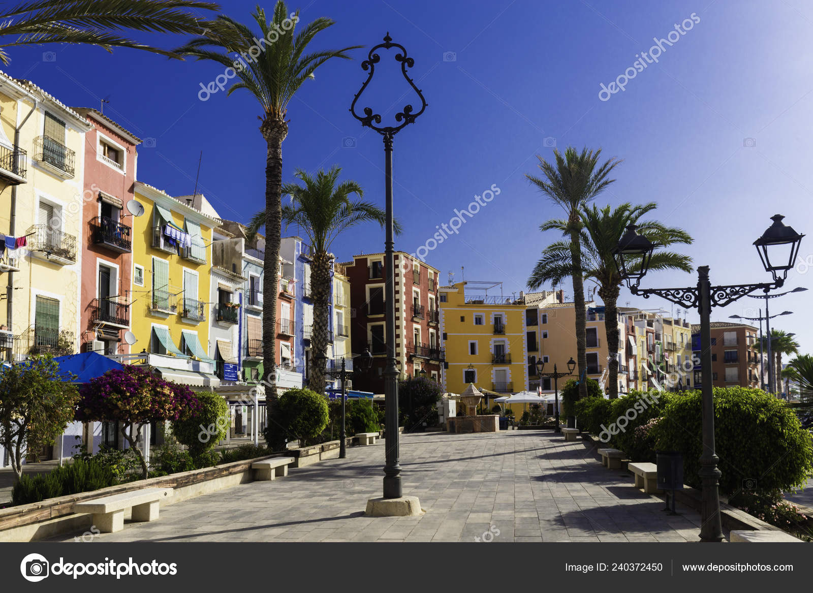 Beautiful Promenade Flowers Palm Trees Trees Colorful Houses Ancient ...