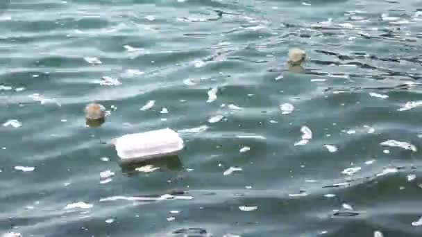 Trash Garbage Floating Surface Water Water Pollution Dirt Plastic ...