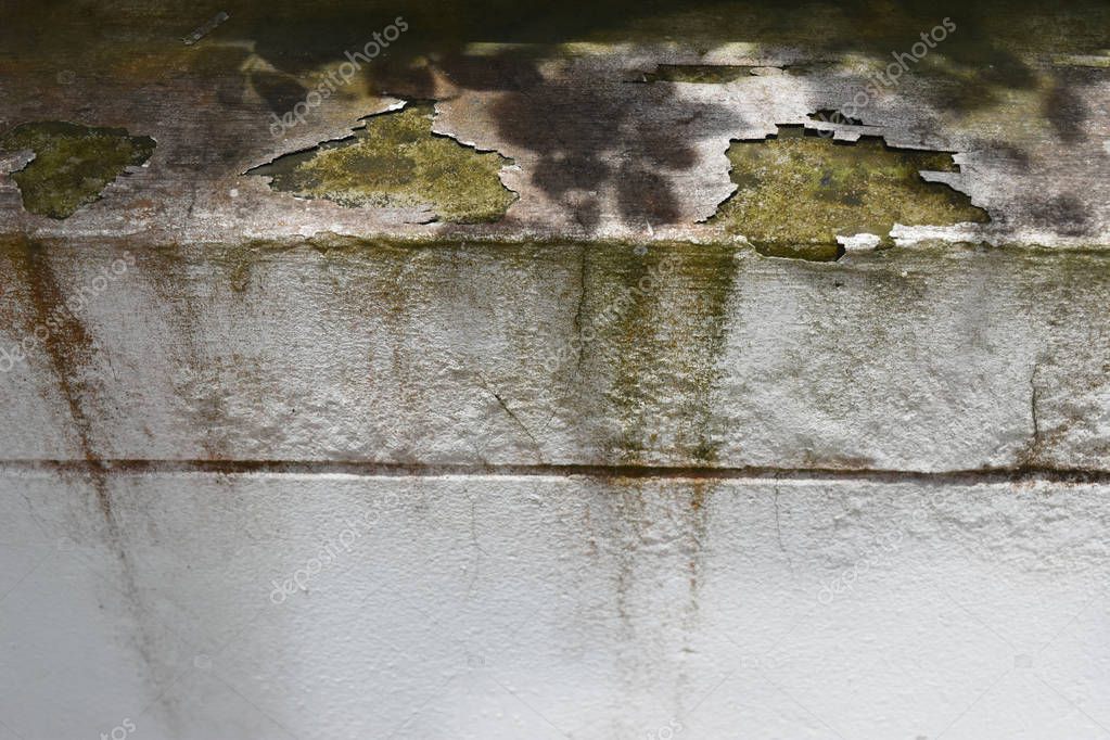 Las paredes externas que usan un color incorrecto causan daños, la ...