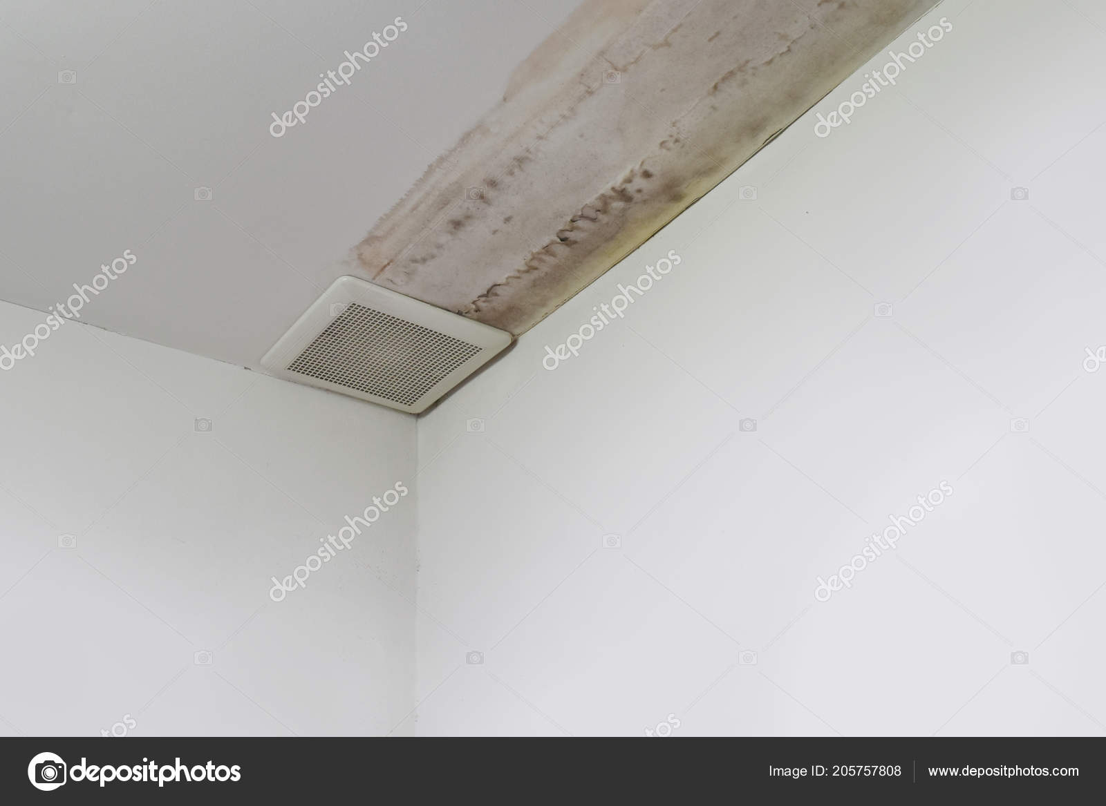 Rain Water Leak Ceiling | Shelly Lighting