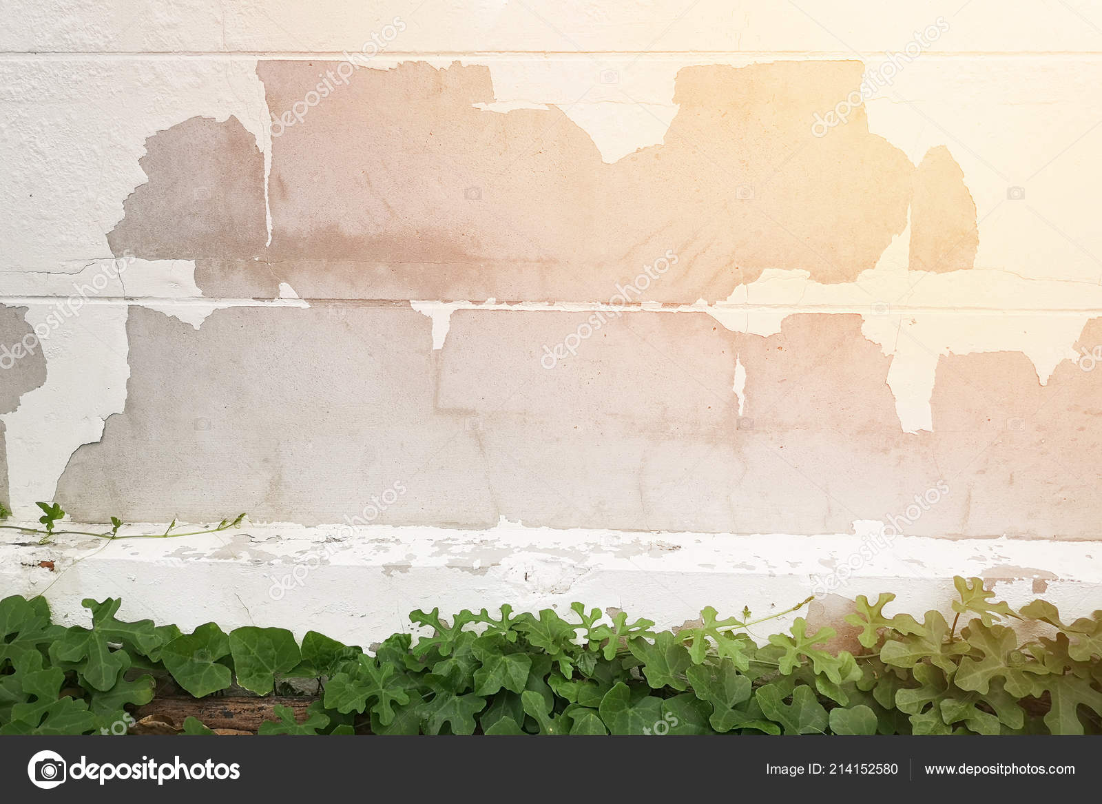 Excessive moisture can cause mold and peeling paint wall such as ...