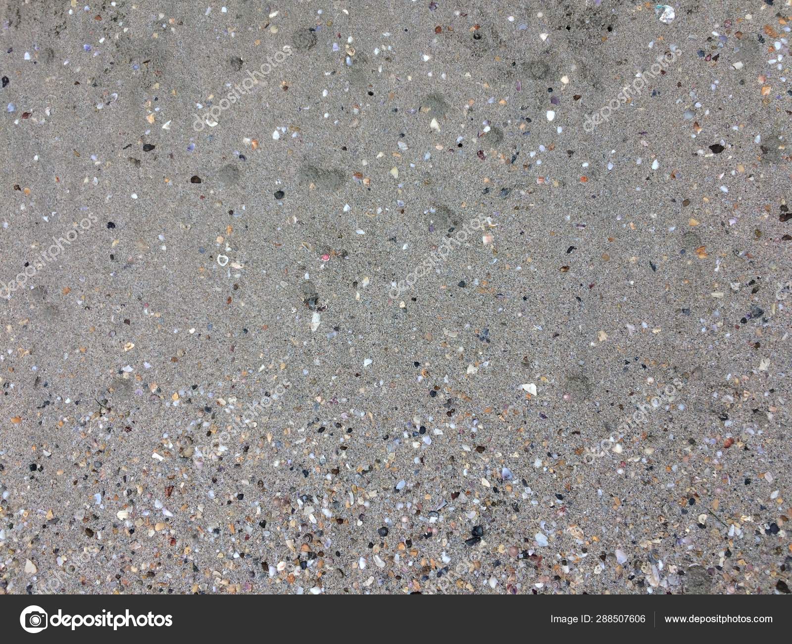 Shells Sand Beach Background Beach Texture — Stock Photo © Thattep ...