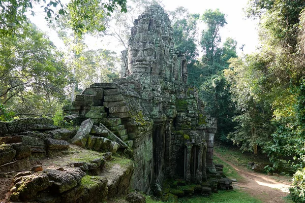 Jungle Temple Ruins