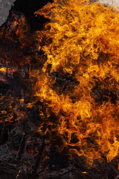 Flaming fire. Burning tree branches. Pagan rite dedicated to the ...