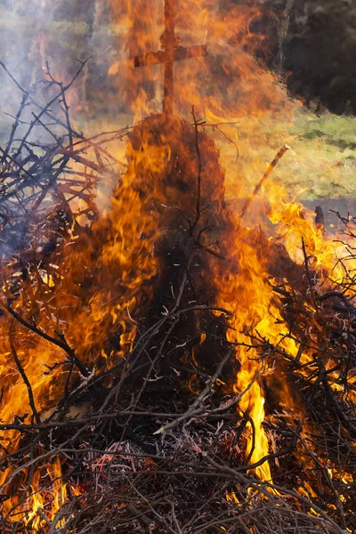Burning tree Stock Photos, Royalty Free Burning tree Images | Depositphotos