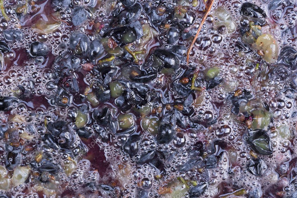 El material del vino, el jugo de uva - el mosto, el estaño, el maun ...