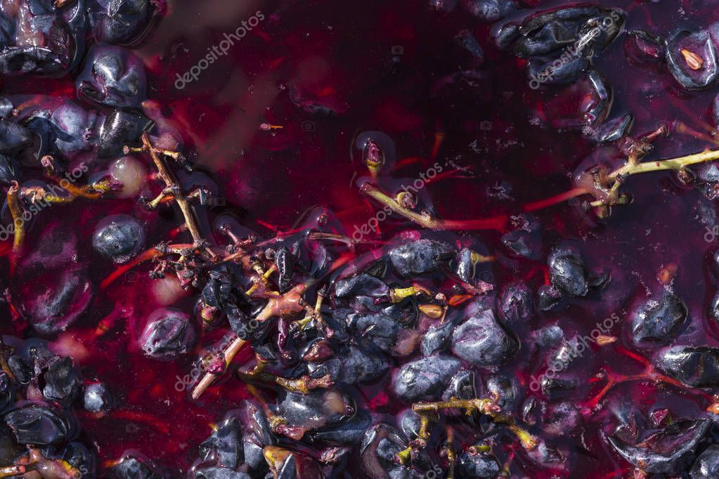 El material del vino, el jugo de uva - el mosto, el estaño, el maun ...