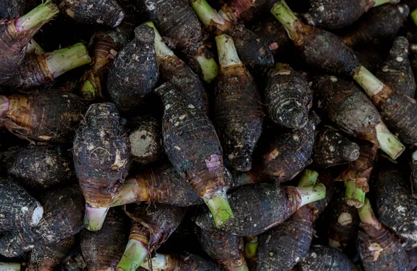 Japanese taro Stock Photos, Royalty Free Japanese taro Images ...