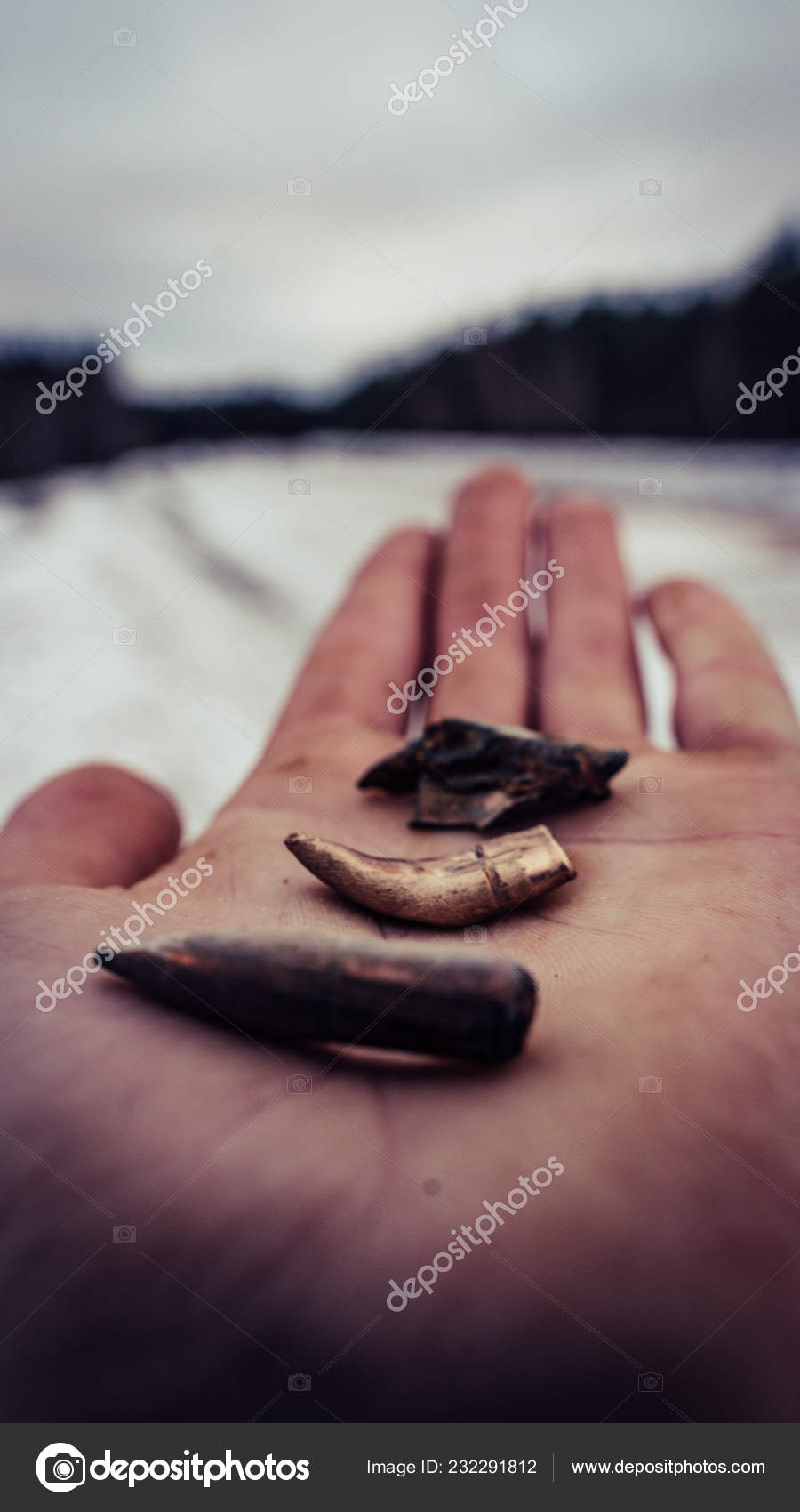 Different Stages Forms Bullets Been Shot Bent Destructed Ballistic ...