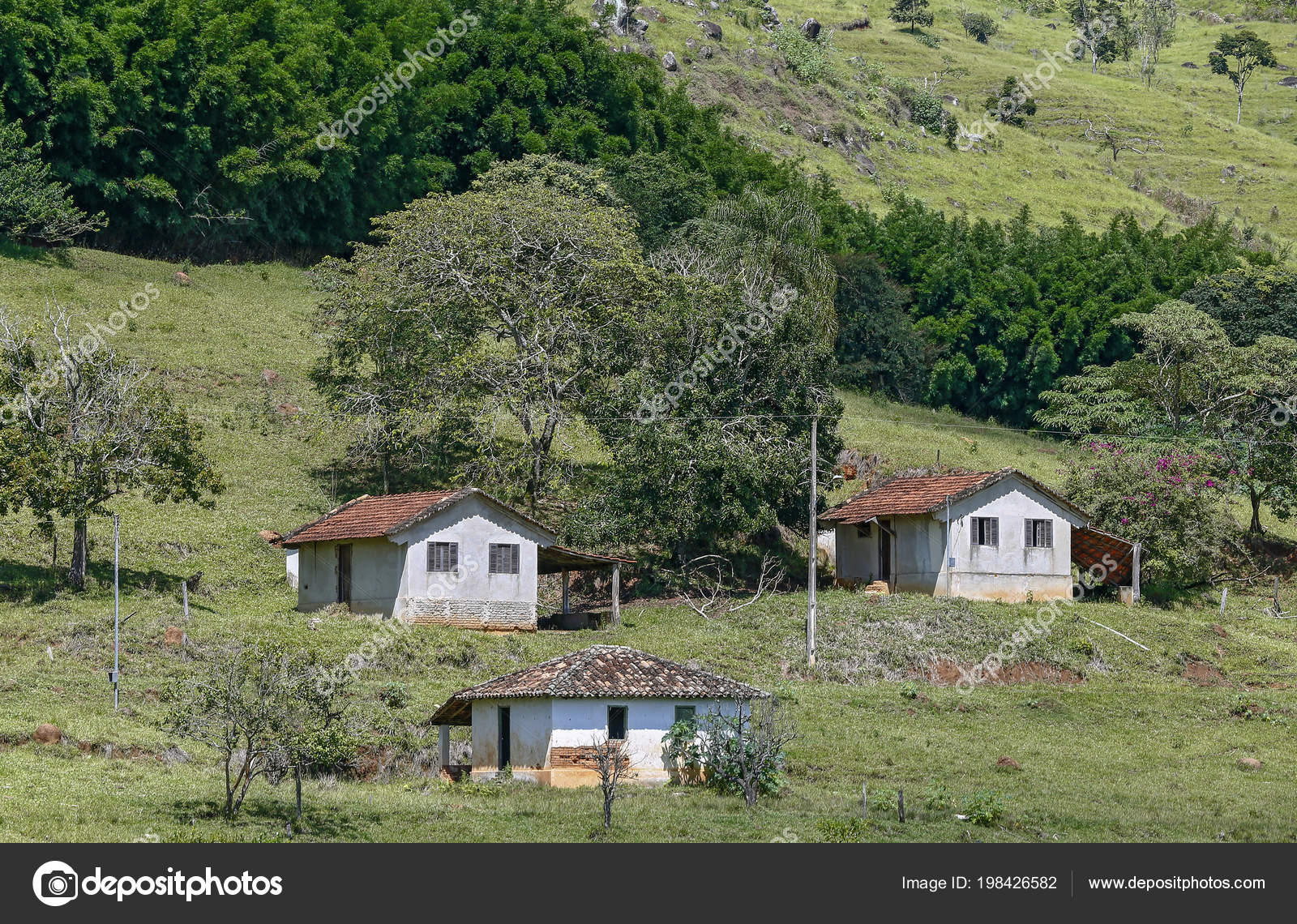 Rural Landscape Grass Trees Small House Hill Minas Gerais Brazil ...