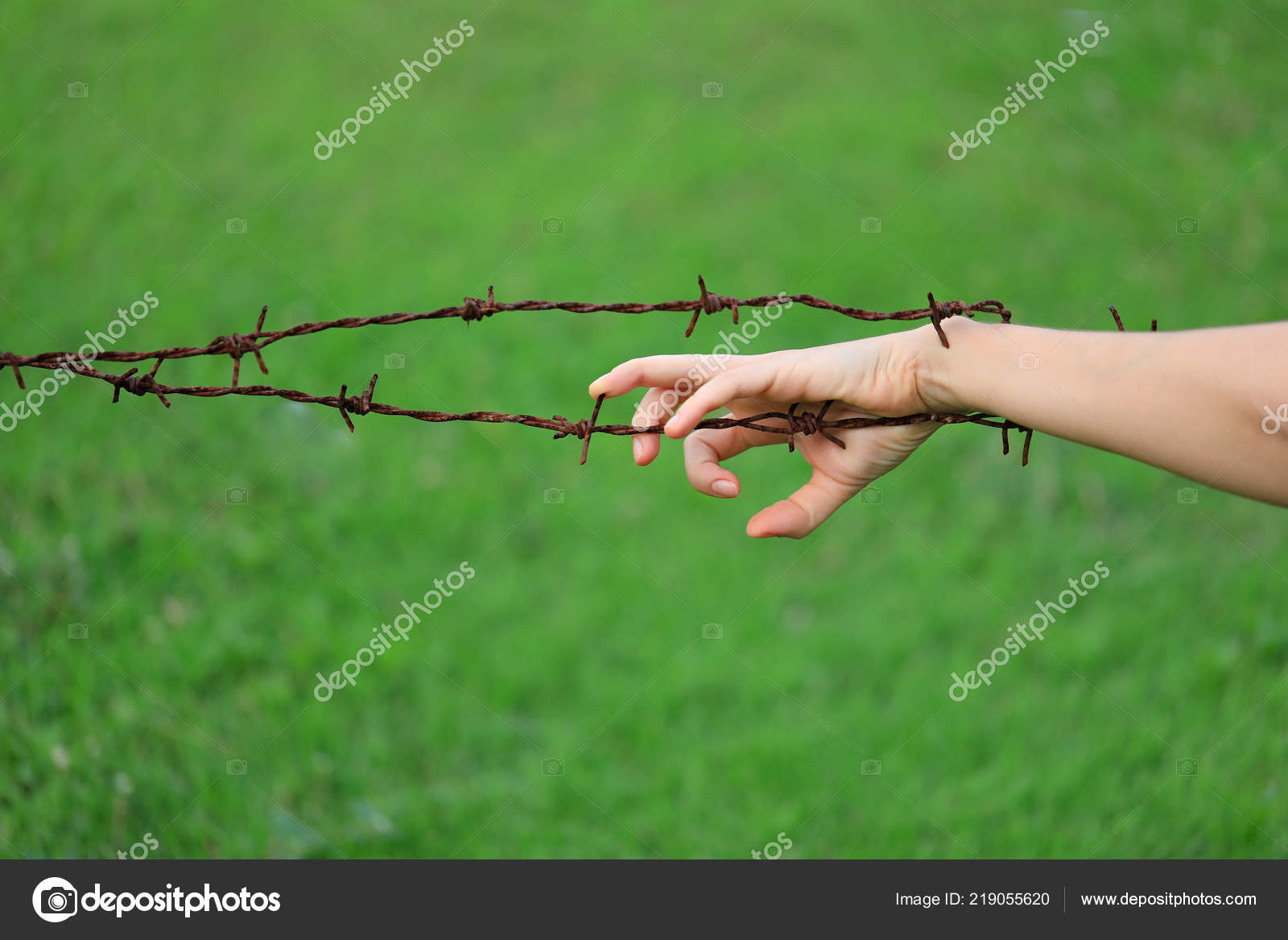 Hands Holding Barbed Wire Green Grass Background Stock Photo by ...