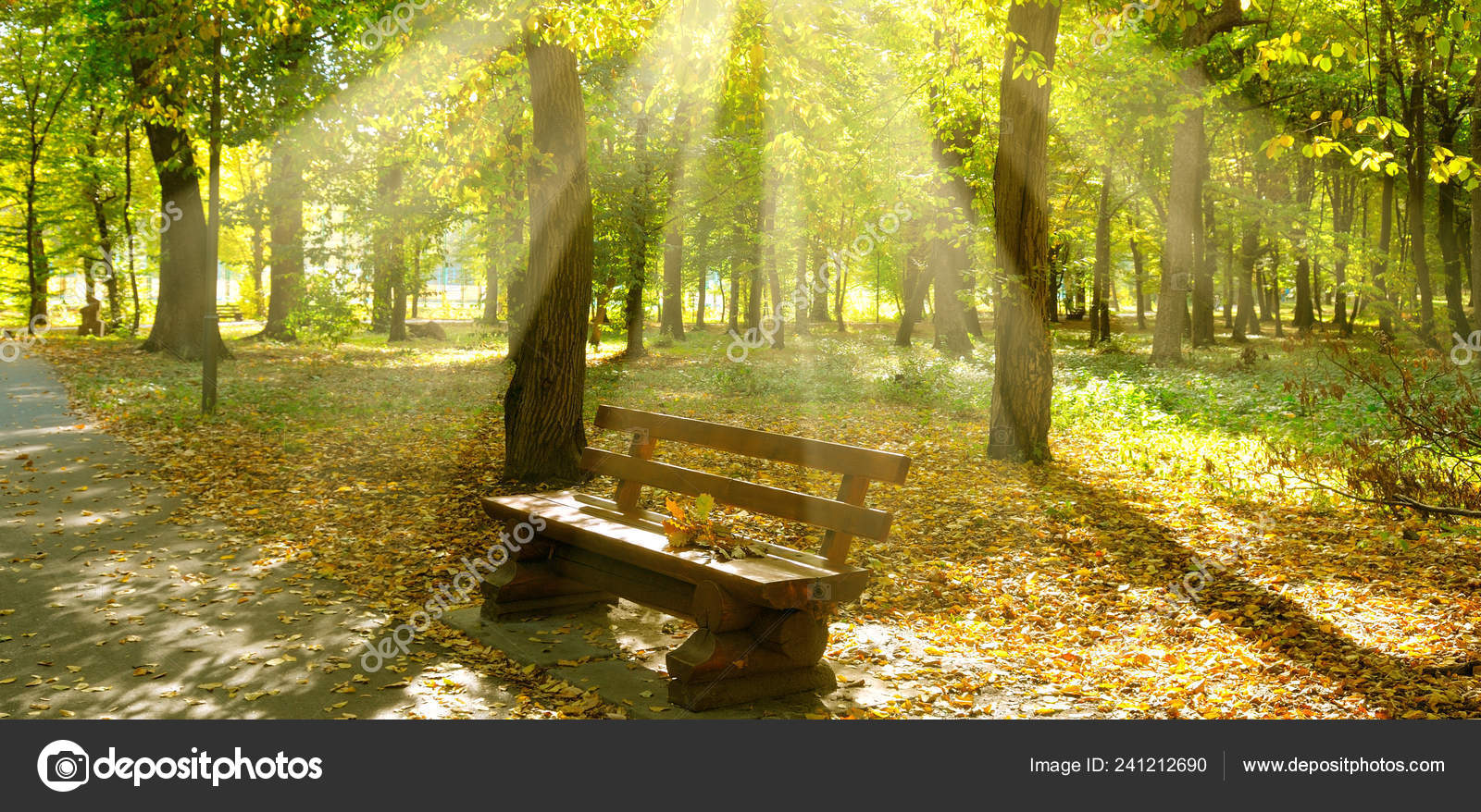 Beautiful Autumn Park Paths Bench Sun Rays Illuminate Yellow Leaves ...