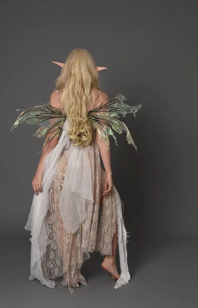 Full Length Portrait Blonde Girl Wearing Fantasy Fairy Costume Standing ...