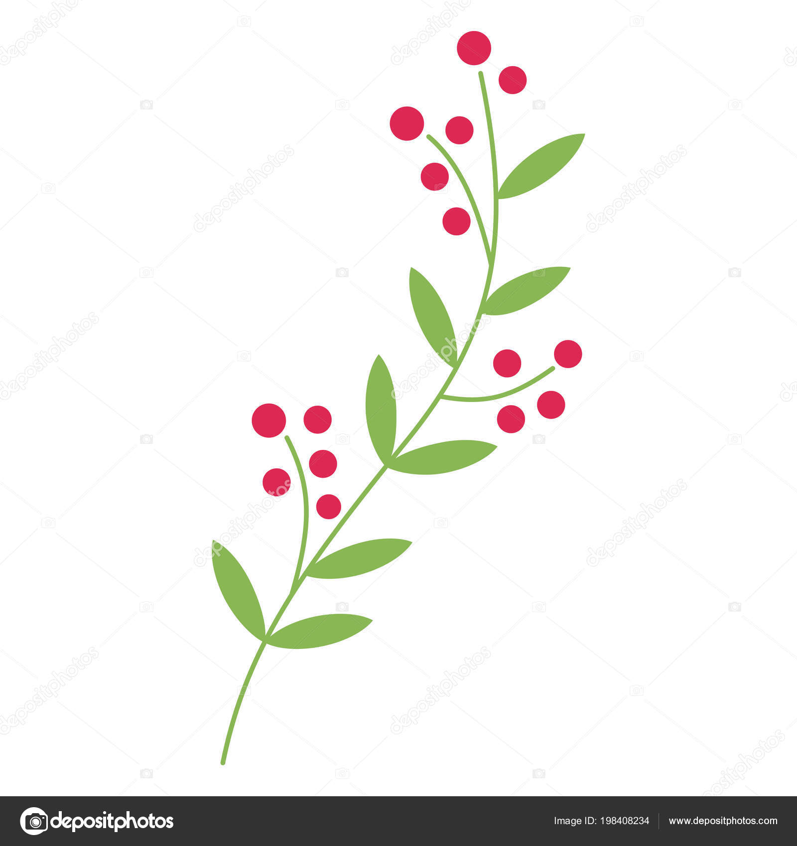 Simple Vine Vector