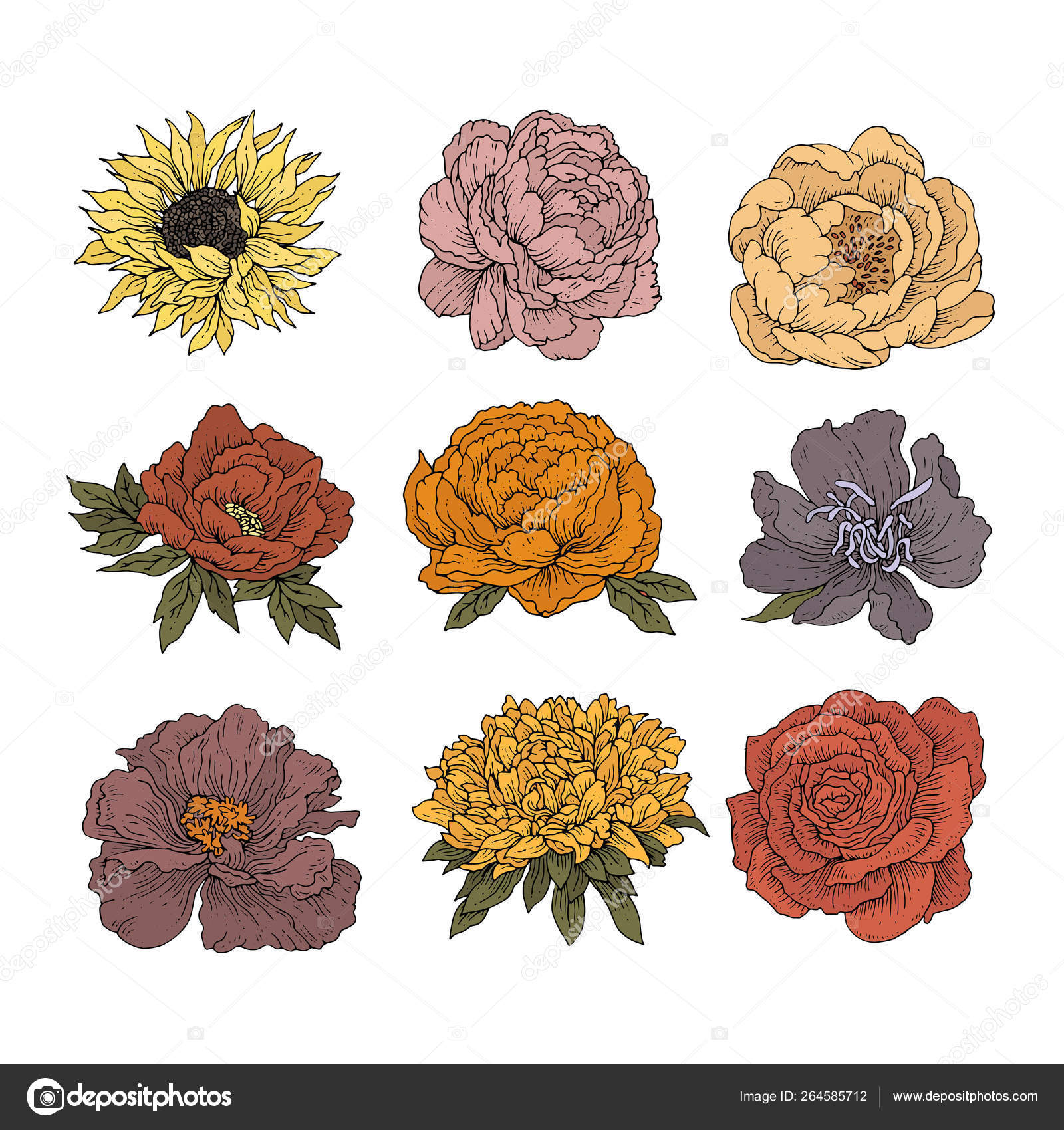 Colorful Ink Flowers Set Stock Vector Image by ©Natabck #264585712