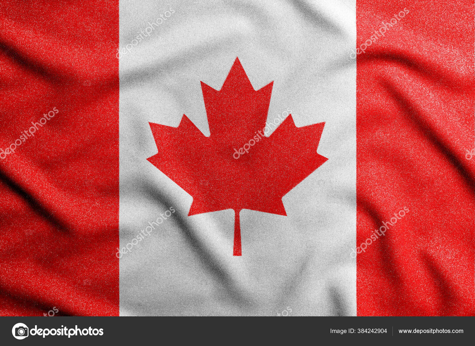 Canadian Democracy Symbol
