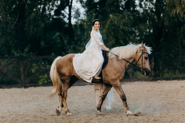 Bride and horse Stock Photos, Royalty Free Bride and horse Images ...