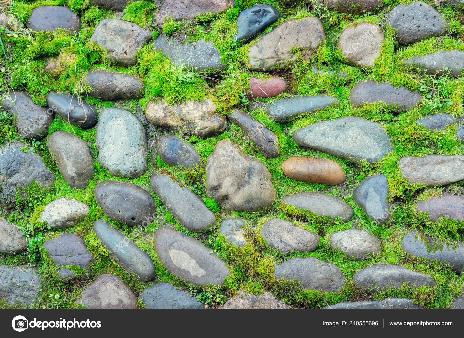 Old Stone Wall Covered Moss — Stock Photo © naskami #240555696