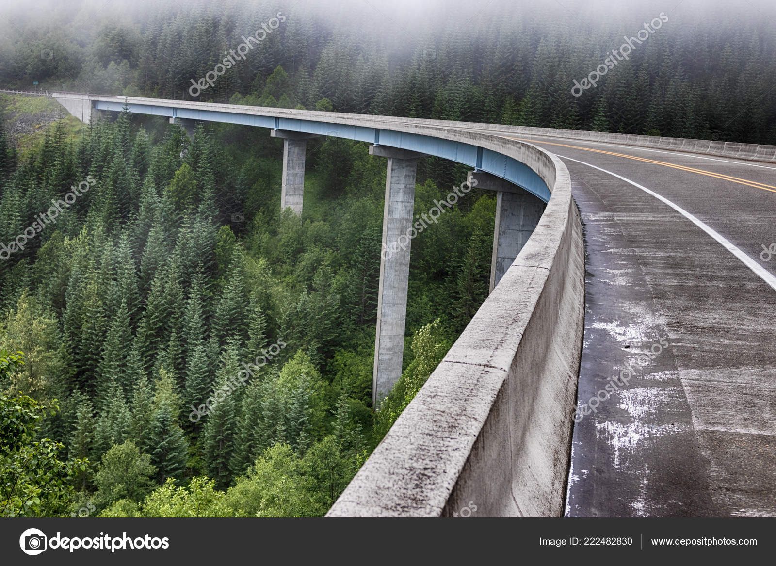 Concrete Forest Bridge Freeway Road Fog Stock Photo by ©experiencesnw ...