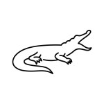 Crocodile One Line Drawing Minimalist Design Lineart Isolated White ...