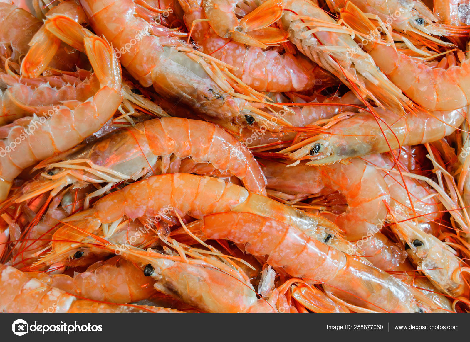 Pink prawns background — Stock Photo © RB.Photography #258877060