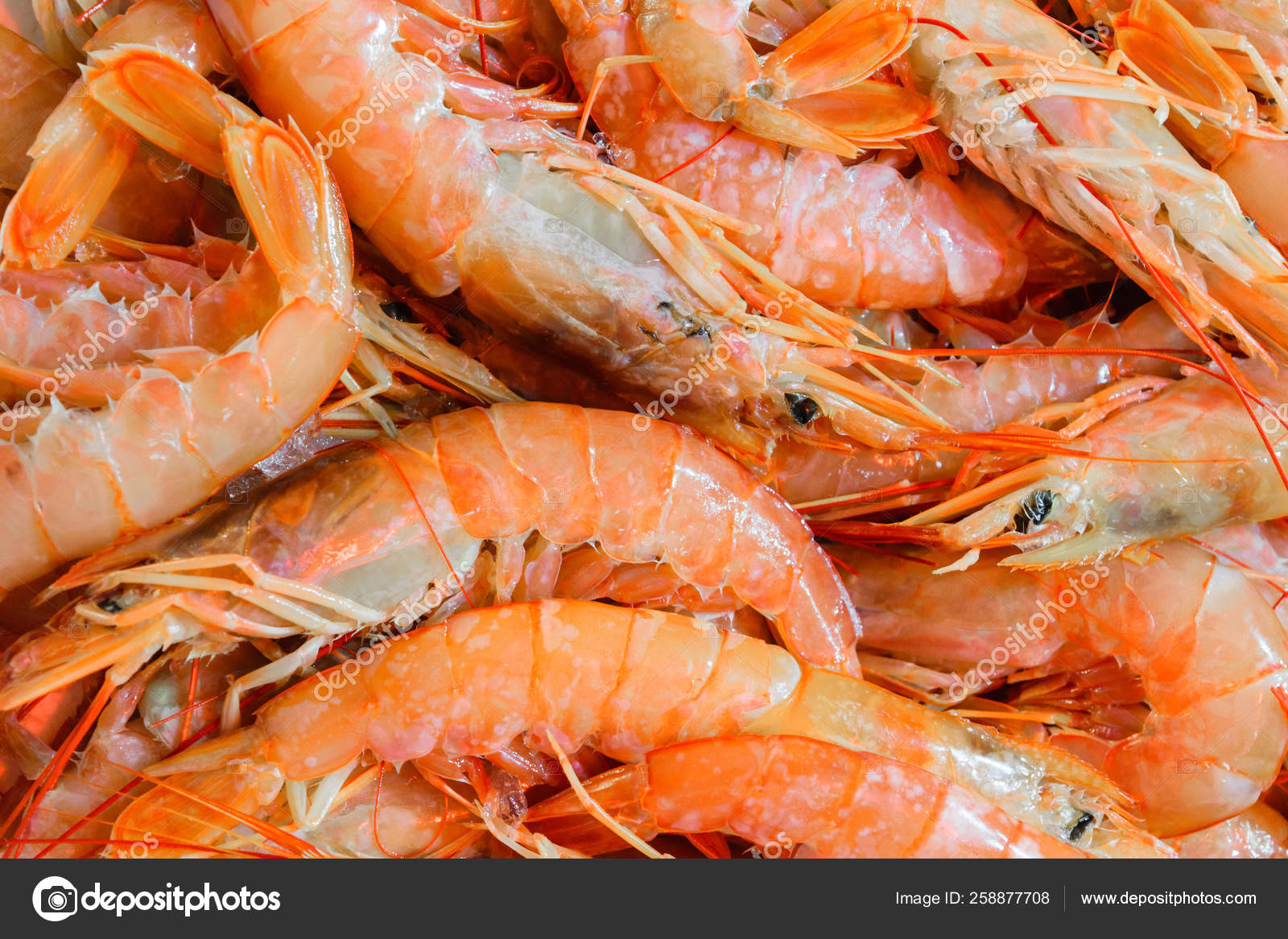 Pink prawns background — Stock Photo © RB.Photography #258877708