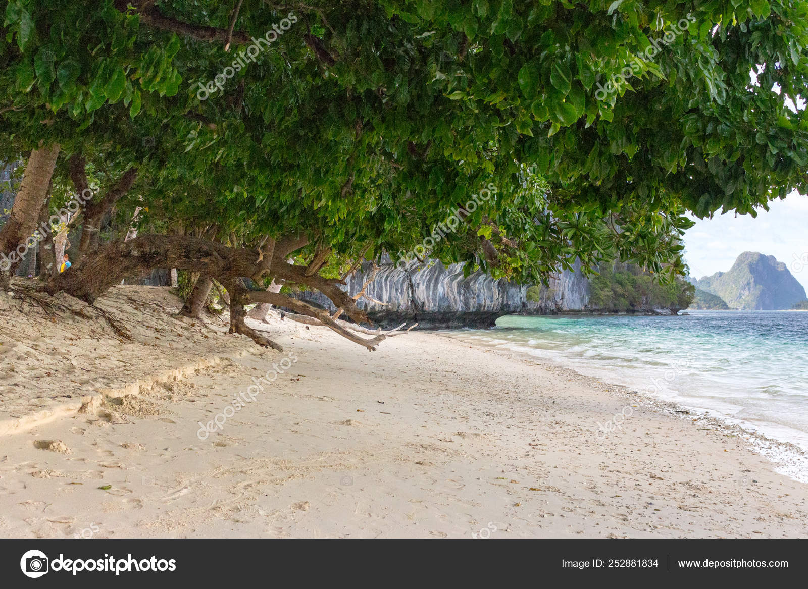 Tropical Beach Trees White Sand Seascape Isles Background Vacation ...