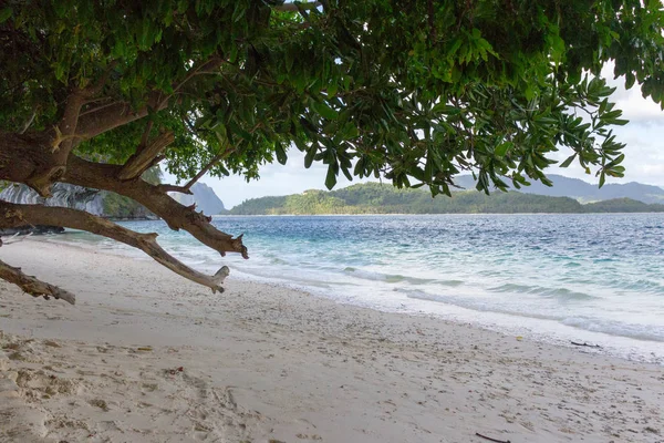 Tropical Beach Trees White Sand Seascape Isles Background Vacation ...