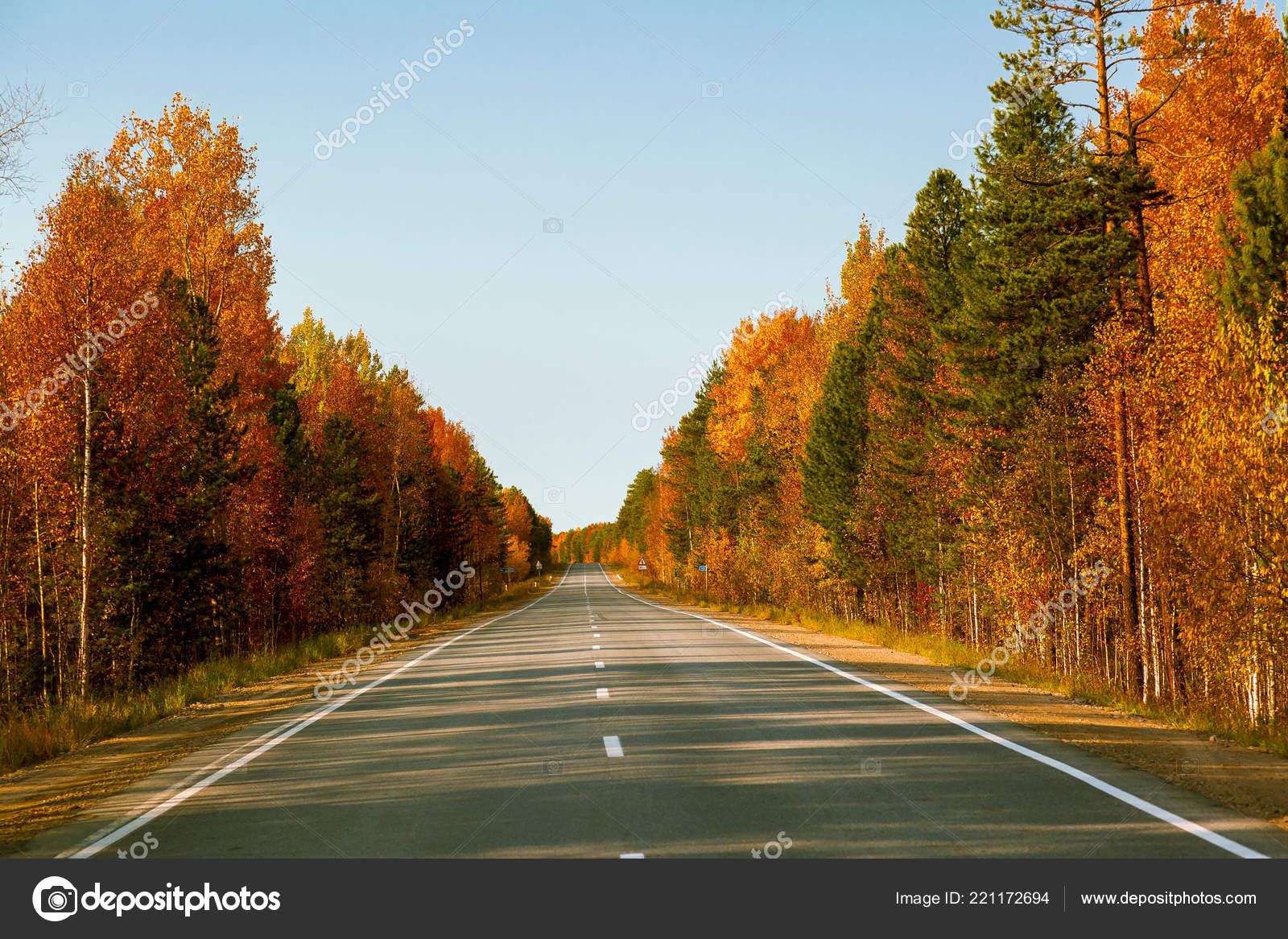 Asphalt road with intermittent dividing strip along the autumn forest ...
