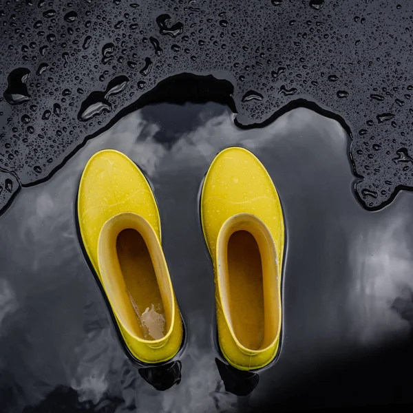 Yellow puddle Images - Search Images on Everypixel