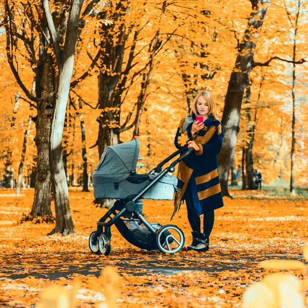 Young mother with a stroller looking at a mobile phone in the park ...