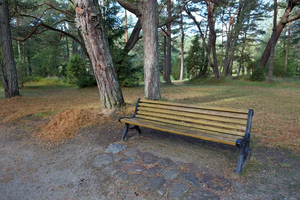 Park bench in nature Stock Photos, Royalty Free Park bench in nature ...