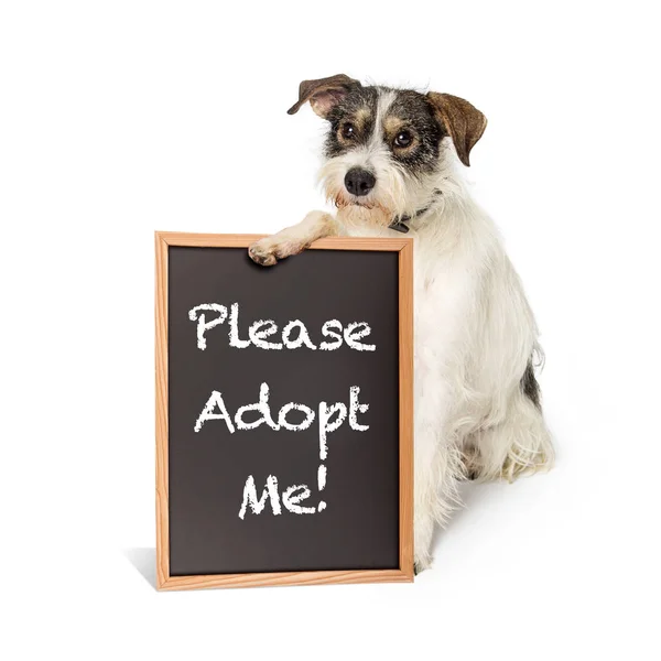 Please adopt me Stock Photos, Royalty Free Please adopt me Images ...