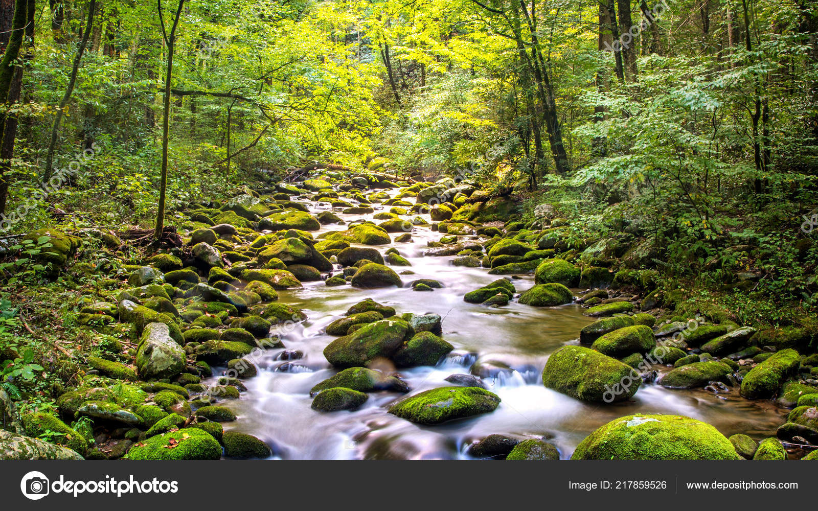 Water Stream Flowing Roaring Fork Motor Nature Trail Great Smoky ...