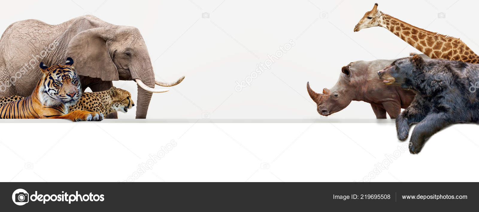 Zoo Animals Together