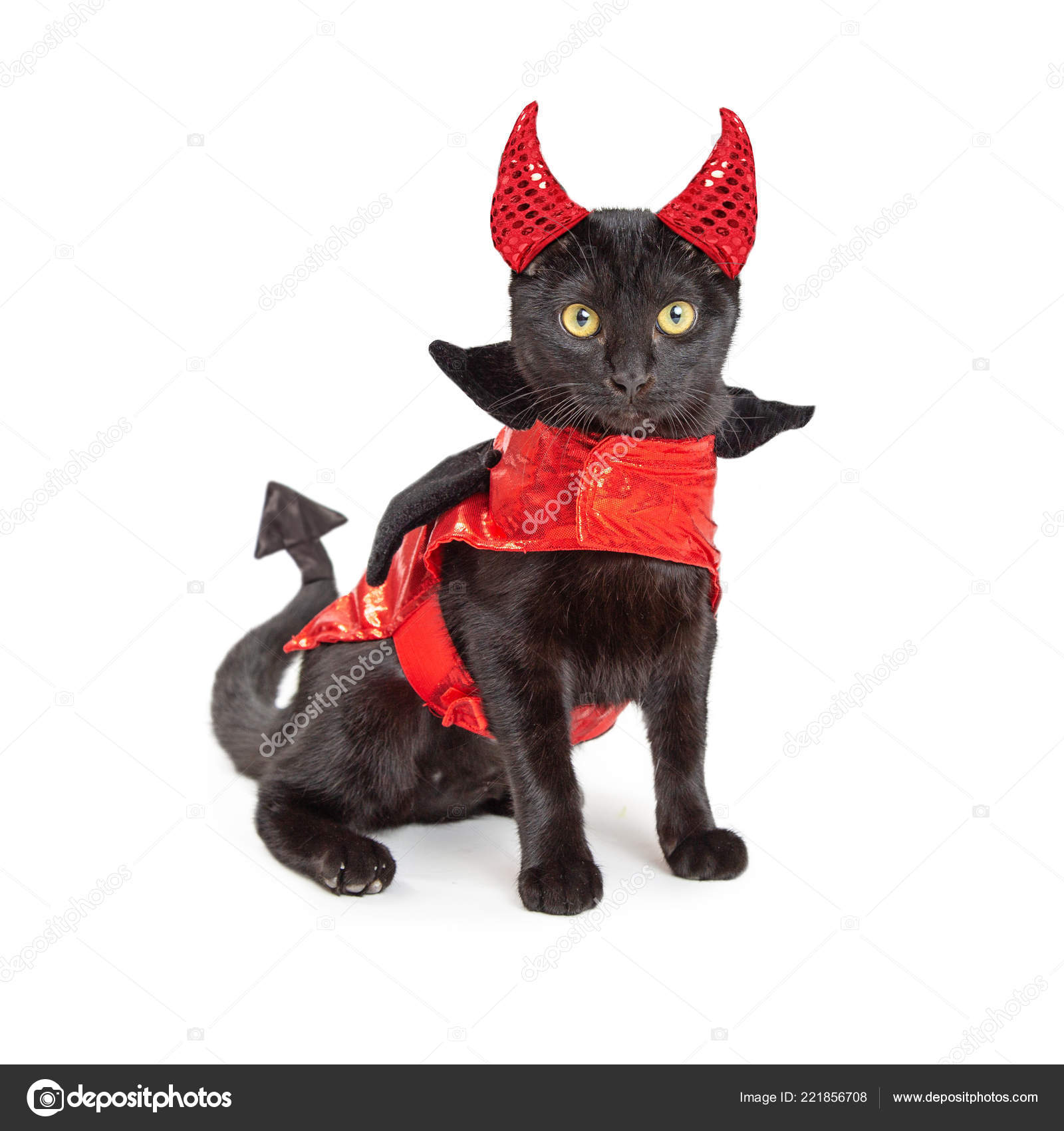 Cute Black Kitten Wearing Funny Red Devil Costume Horns Pointed Stock ...