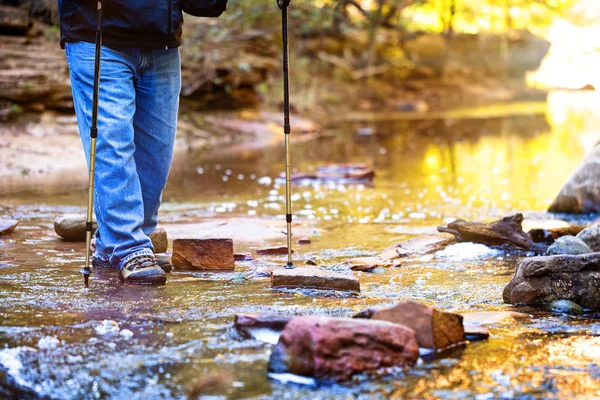 Walking stick Images - Search Images on Everypixel