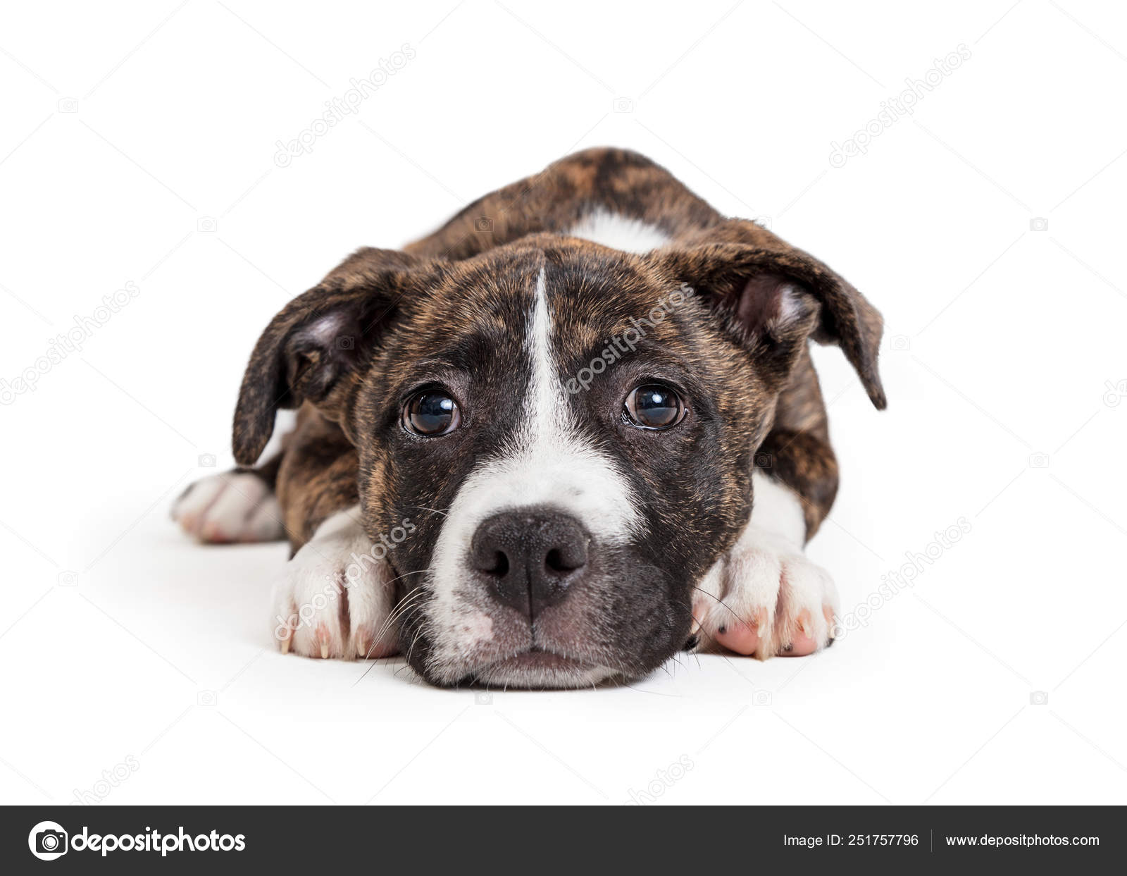 Poster for shopping Sale avec l uvre