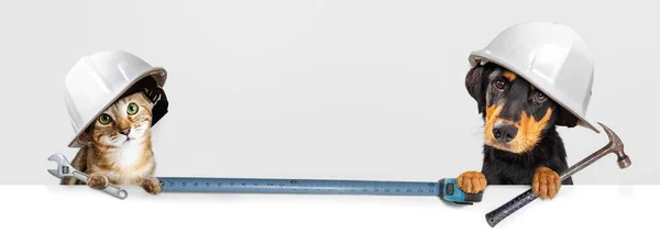 Construction Dog Clipart