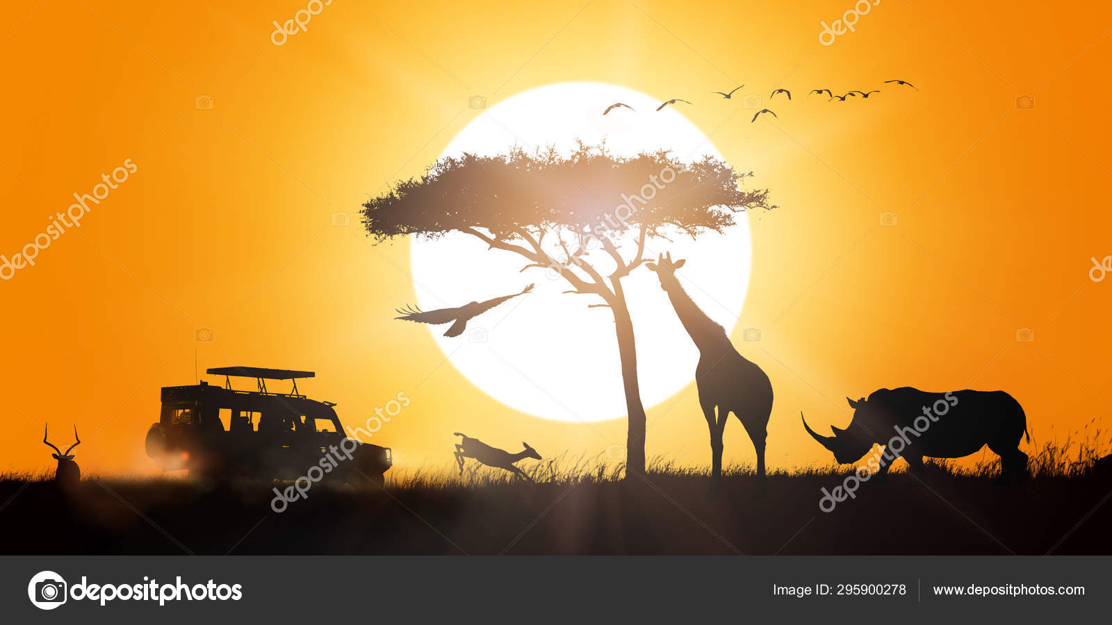 African Safari Sunset Giraffe