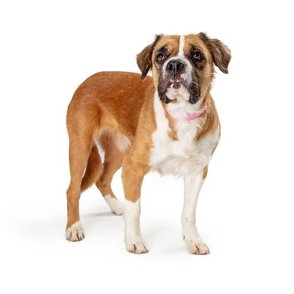 Waiting calmly Stock Photos, Royalty Free Waiting calmly Images ...