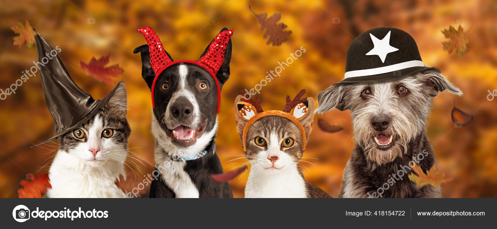 Dogs And Cats In Halloween Costumes