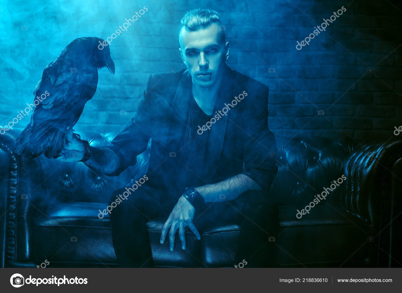 Vampire Man Sitting Sofa Holding Black Raven Halloween Night Beauty ...